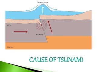 What To Do Before Tsunami