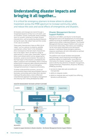 Disaster management report digital strategy | PDF