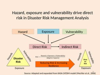 Disaster Management & Risk Assessment ppt | PPTX