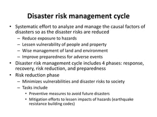 Disaster management system | PPTX