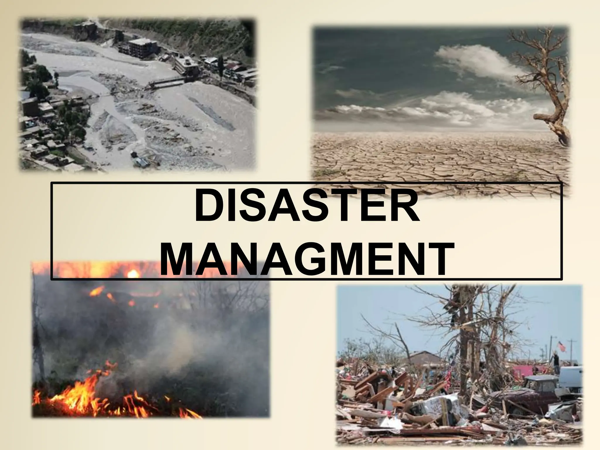 DISASTER MANAGMENT ppt rashi.pptx