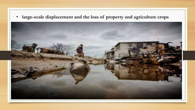 Disaster mangement | PPTX