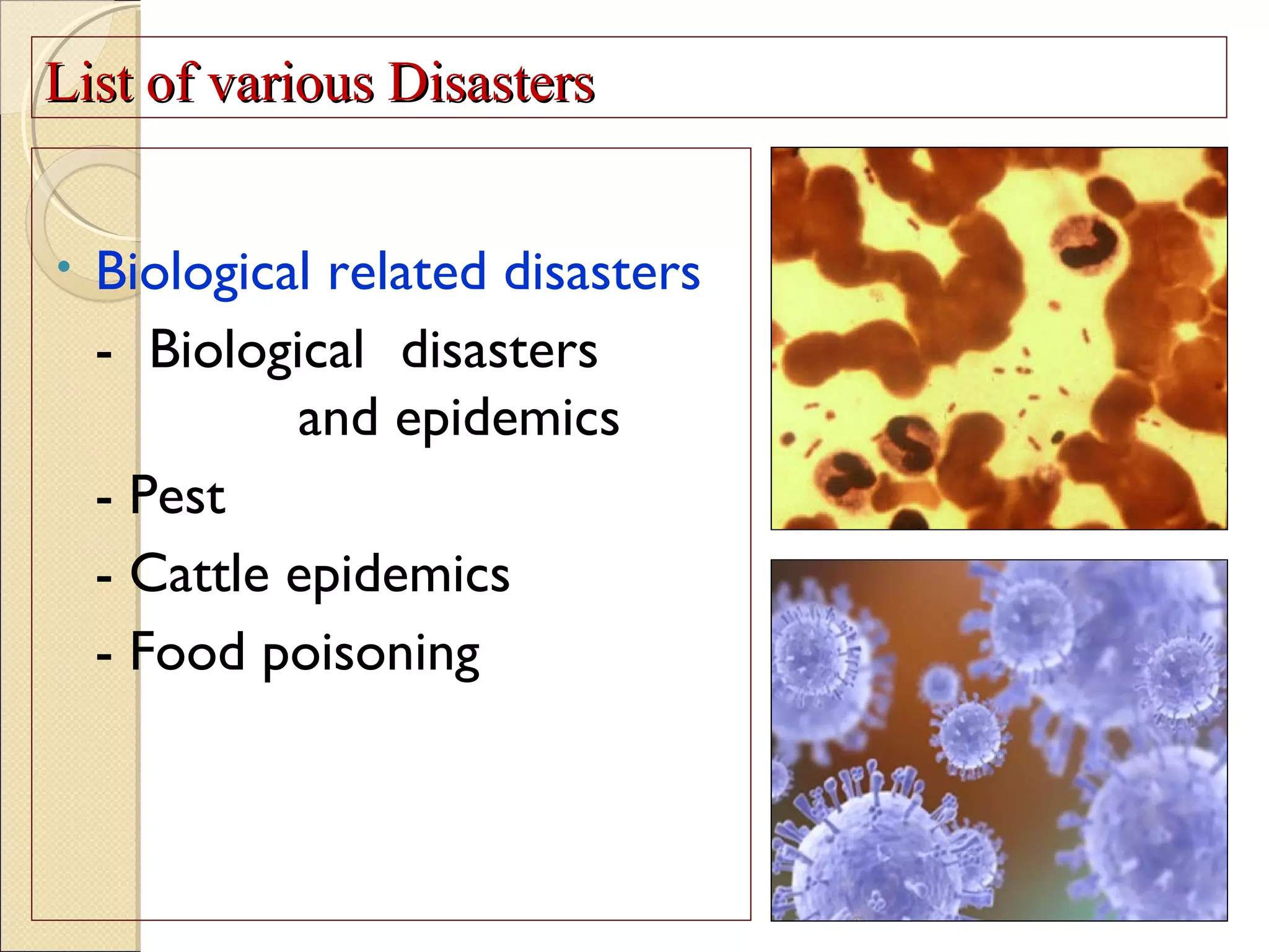 Disaster Management | PPT