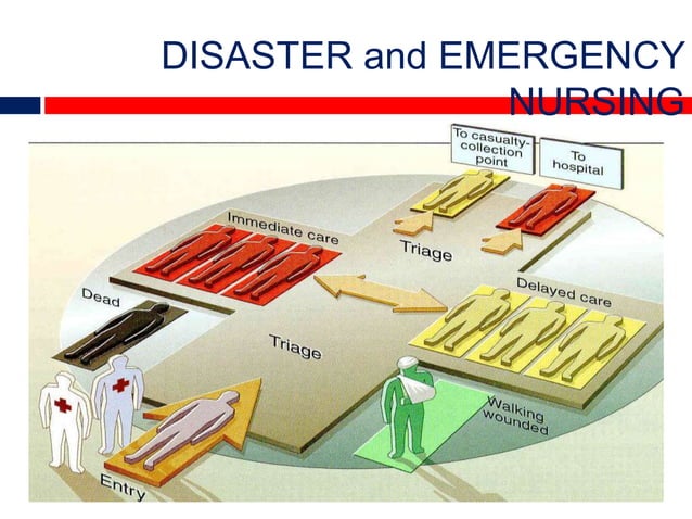 emergency and disaster nursing lecture ncm 121 | PPT | First Aid | Injuries
