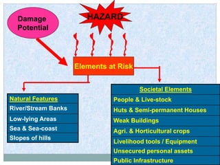disaster_overview.detailed picturisation | PPT