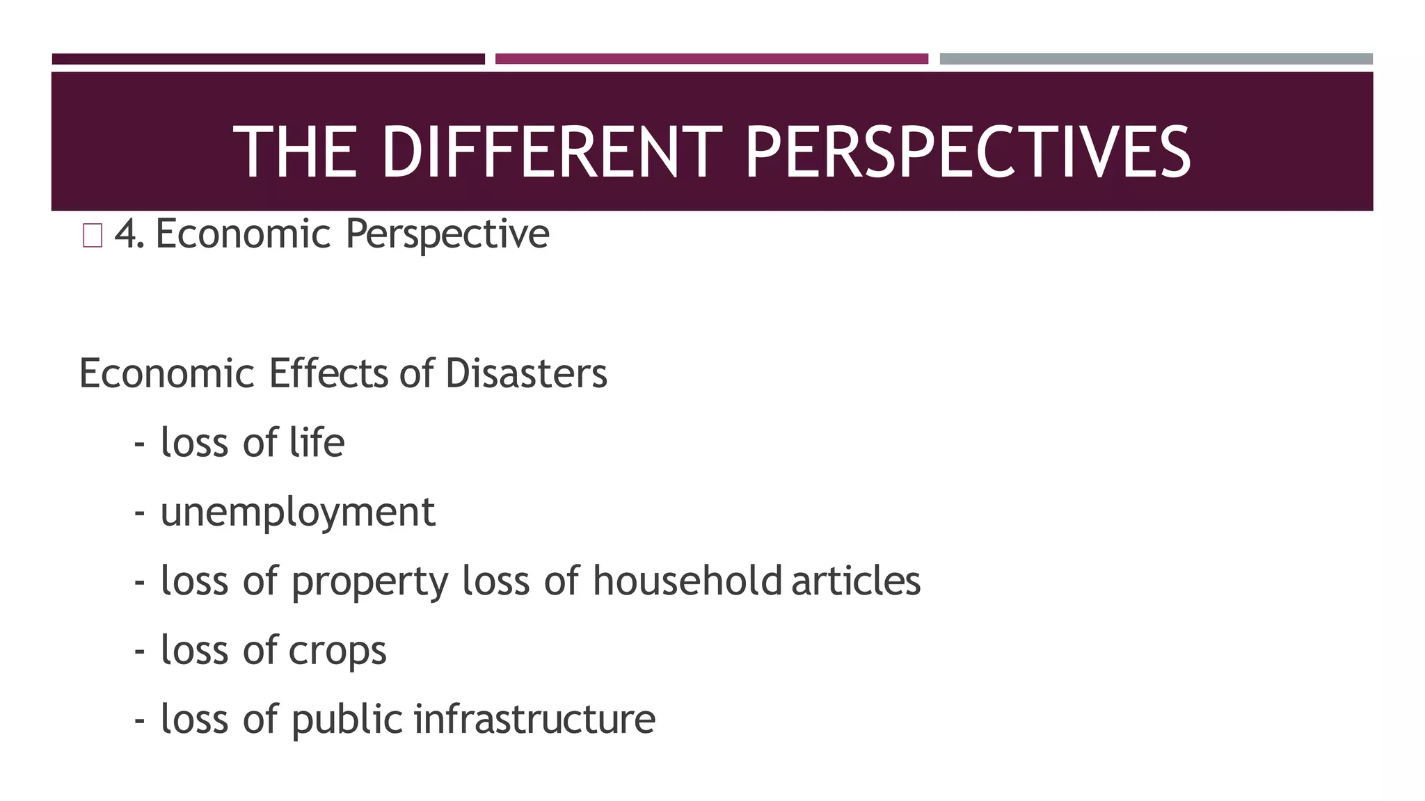 disaster perspective.pptx