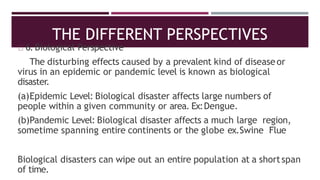 disaster perspective.pptx
