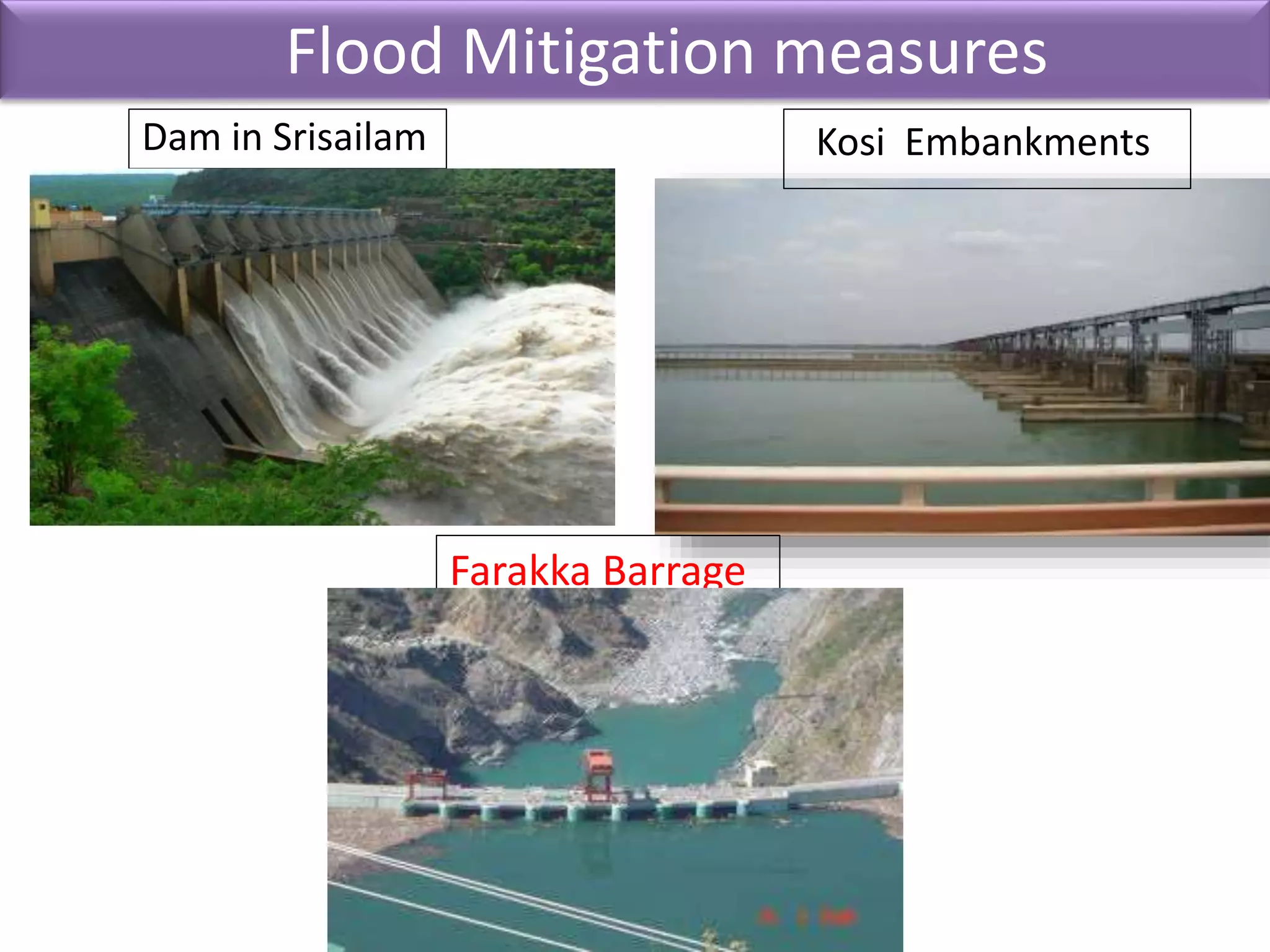 Disaster preparedness and mitigation | PPTX
