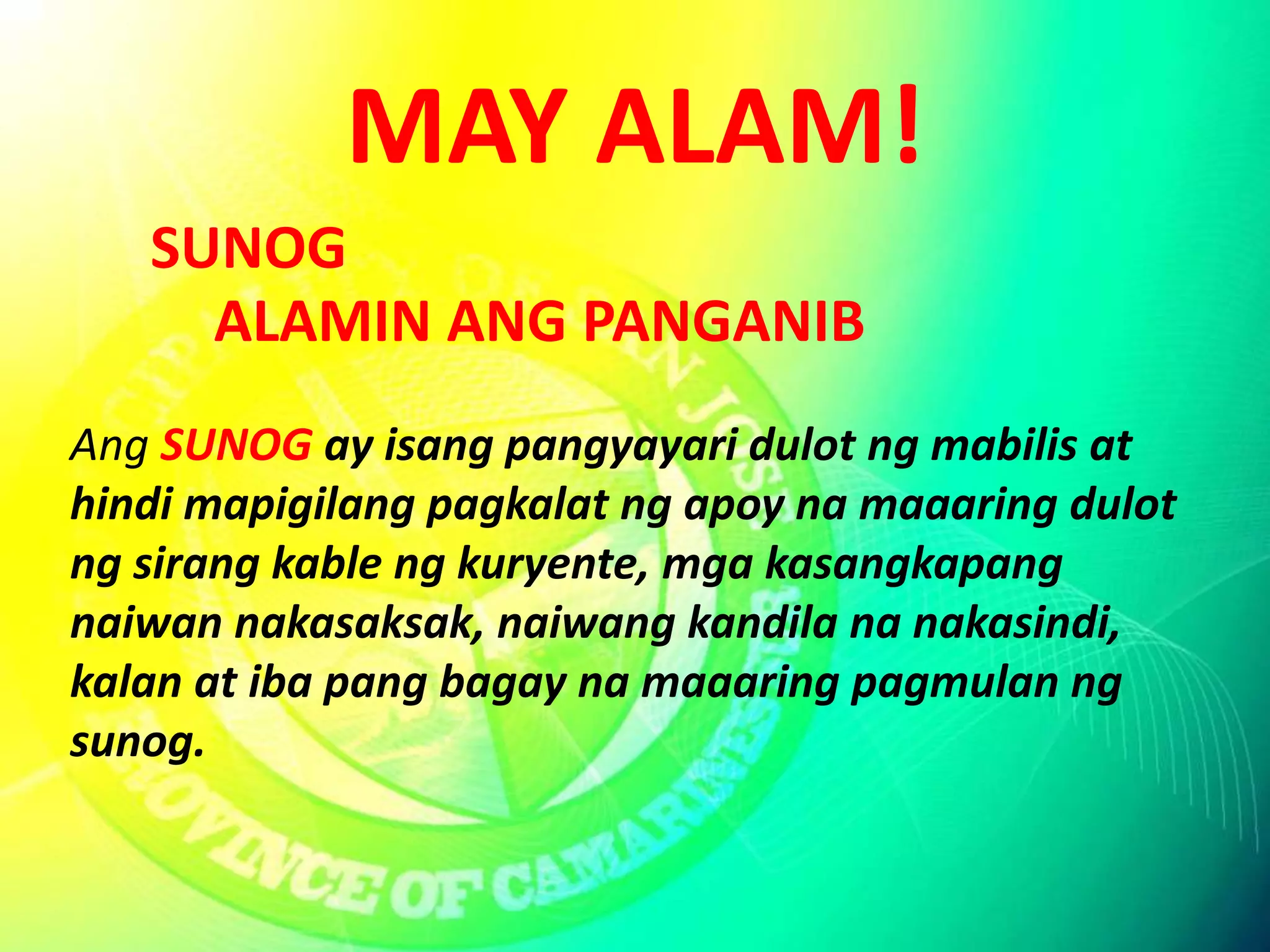 Disaster Preparedness.pptx