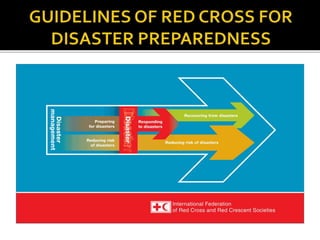 Disaster Preparedness Action Plan | PPTX