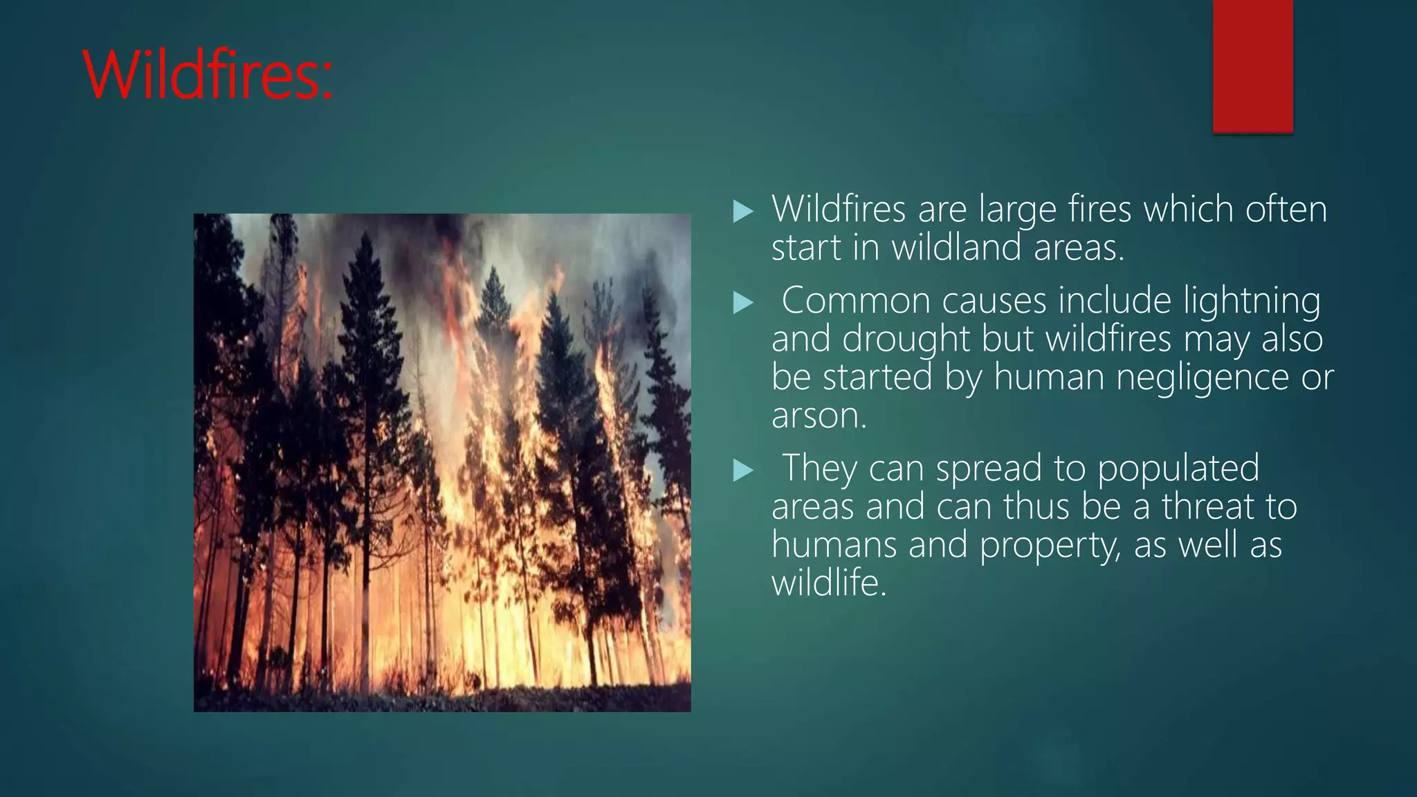 Disaster preparedness & mitigation | PPTX