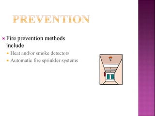 Disaster preparedness new | PPT