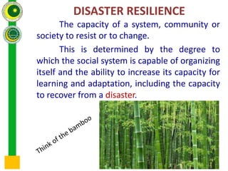 DISASTER PREPAREDNESS PPT.pptx
