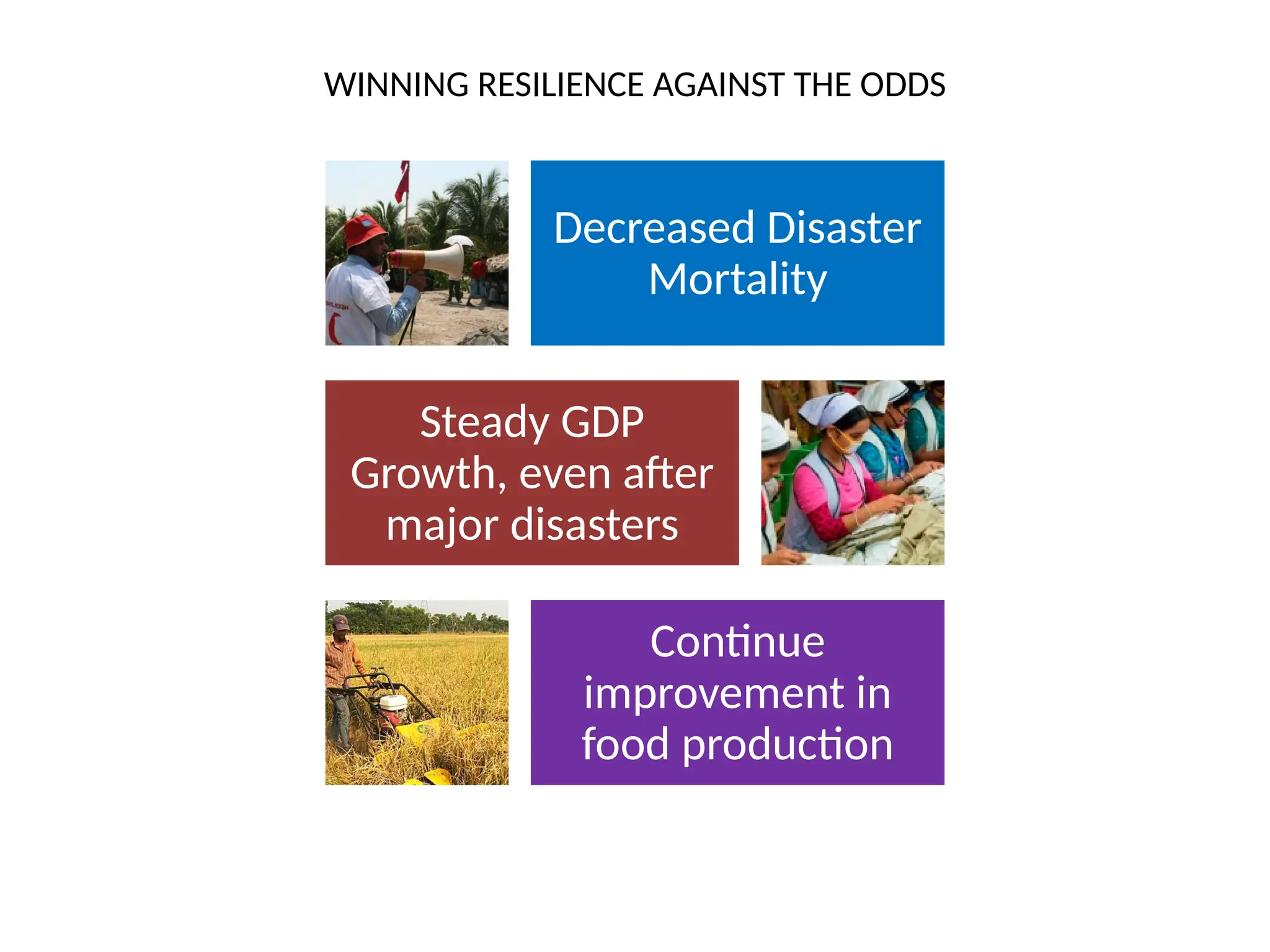 Natural Disaster recovery framework.pptx