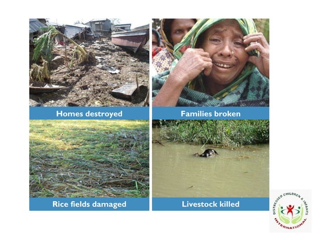 Disaster Relief & Rehabilitation Program Overview | PPT