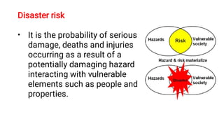 disaster risk assessment.pdf