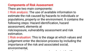 disaster risk assessment.pdf