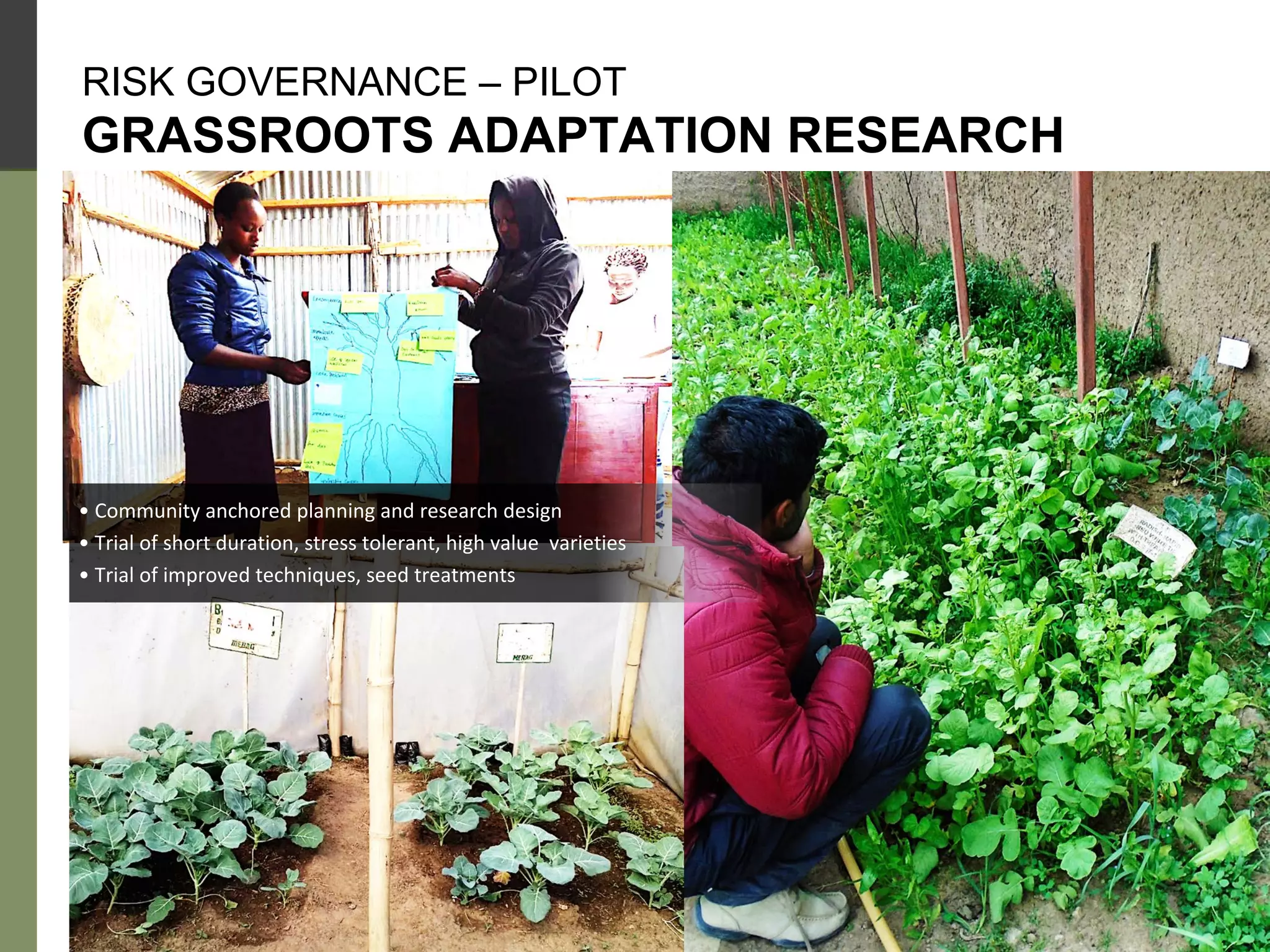 Disaster Risk Governance | PDF