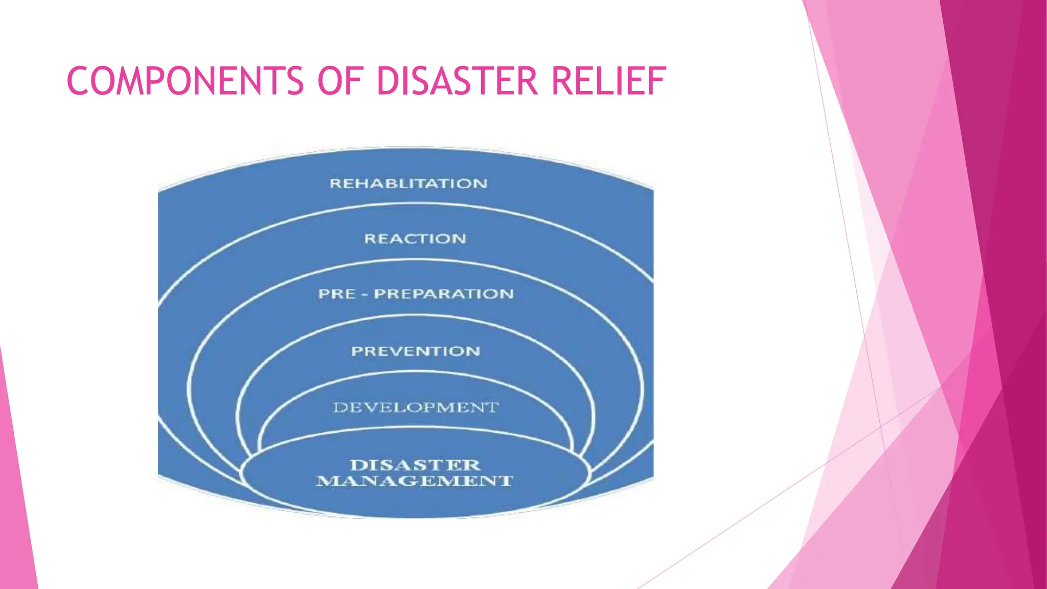 DISASTER RISK MANAGEMENT IN INDIA STUDYS | PPTX