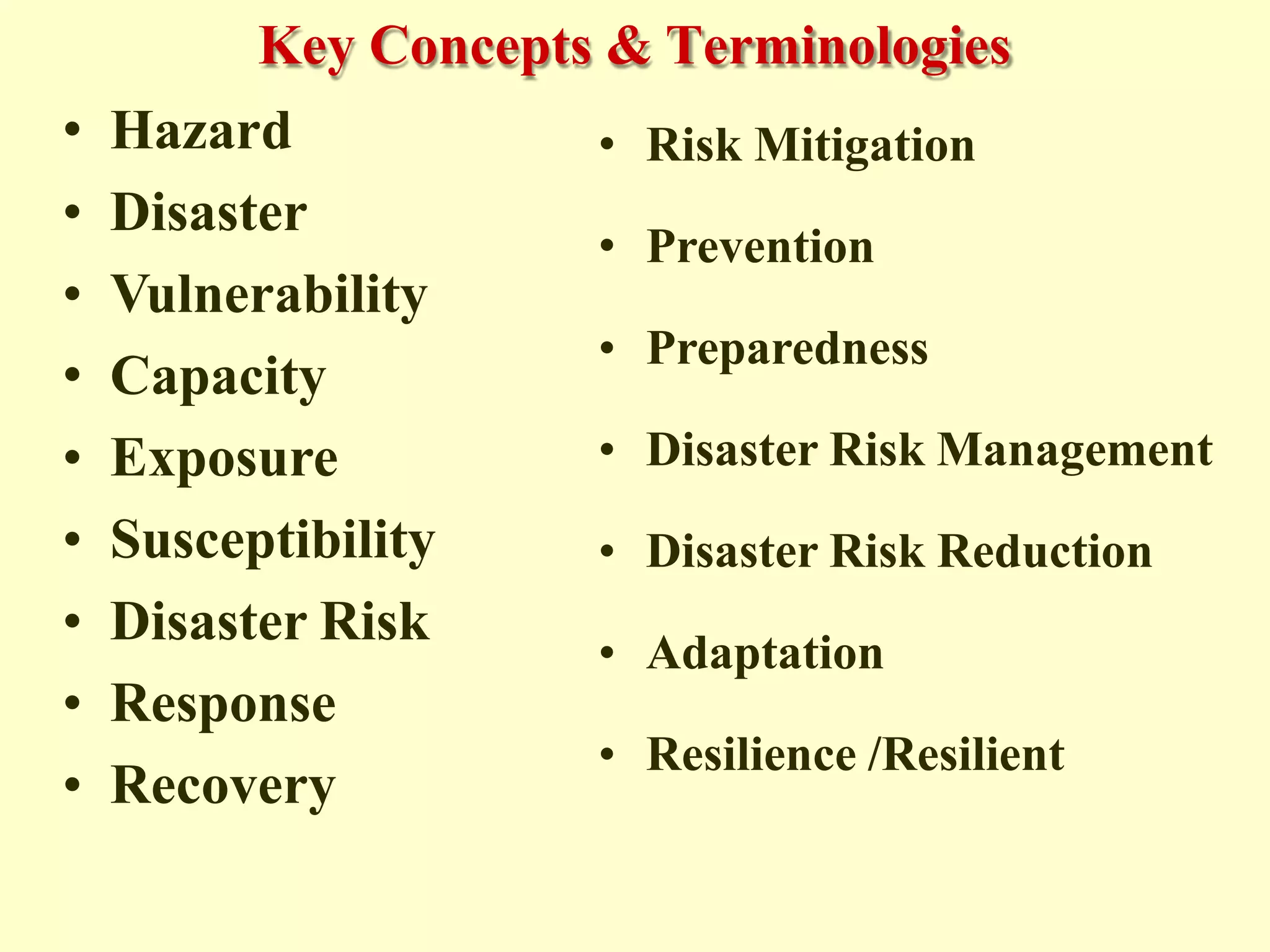 Disaster Risk Management PPT2018.pdf