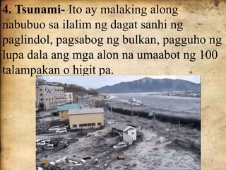 Disaster risk mitigation | PPTX