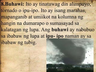 Disaster risk mitigation | PPTX