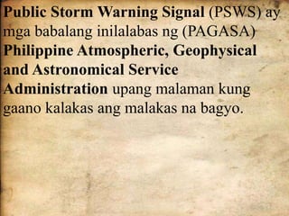Disaster risk mitigation | PPTX