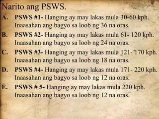 Disaster risk mitigation | PPTX