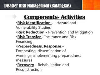 Disaster risk reduction | PPTX