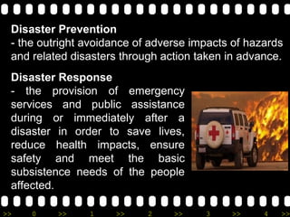 Disaster risk reduction | PPT