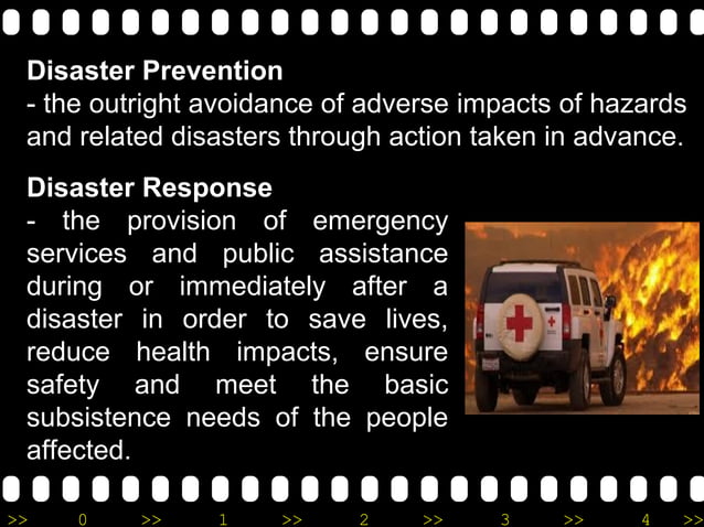 Disaster risk reduction | PPT