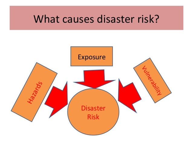 Disaster Risk Reduction and Management and Earthquake Preparedness