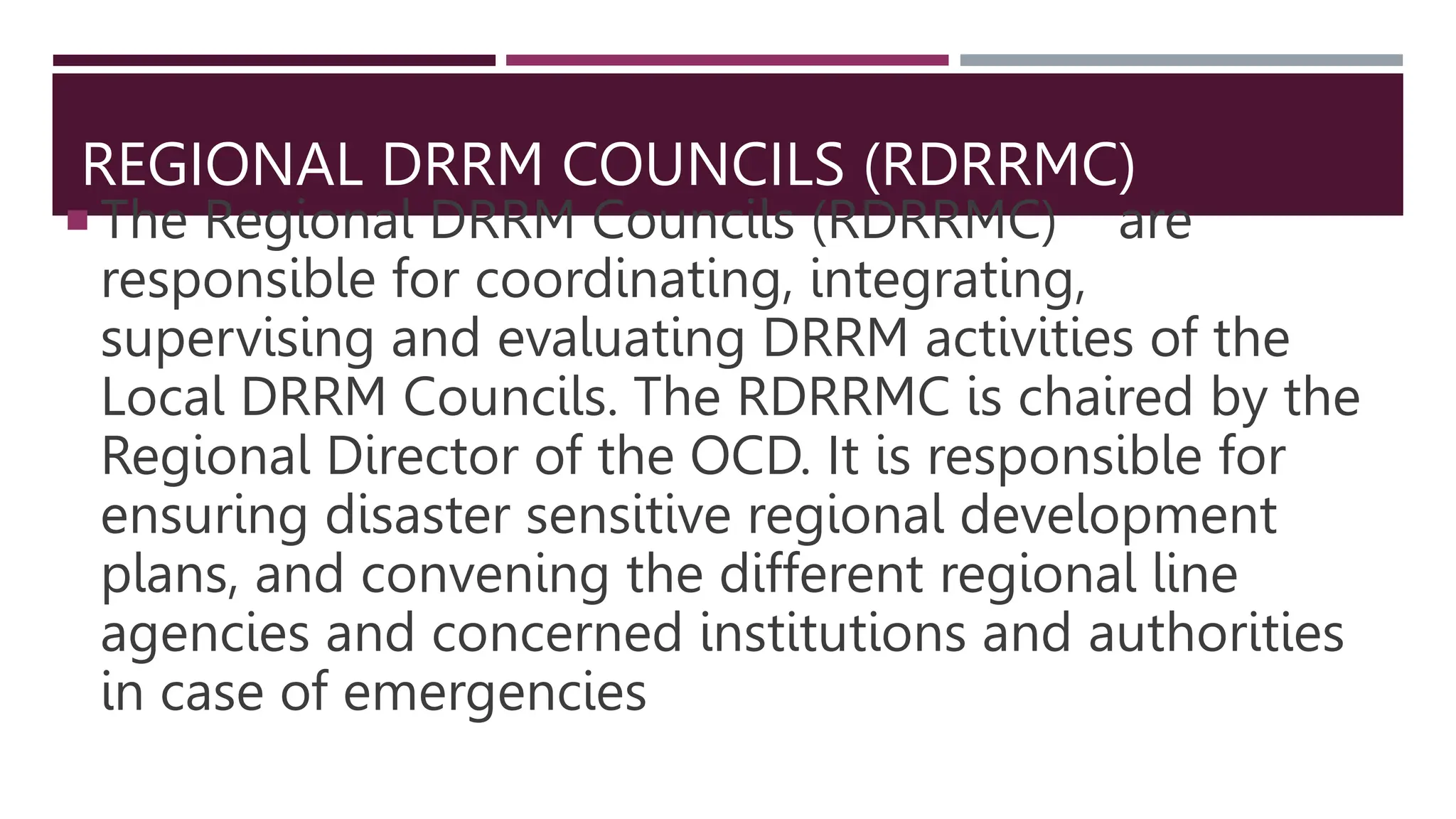 Disaster Risk Reduction and Management (DRRM).pptx