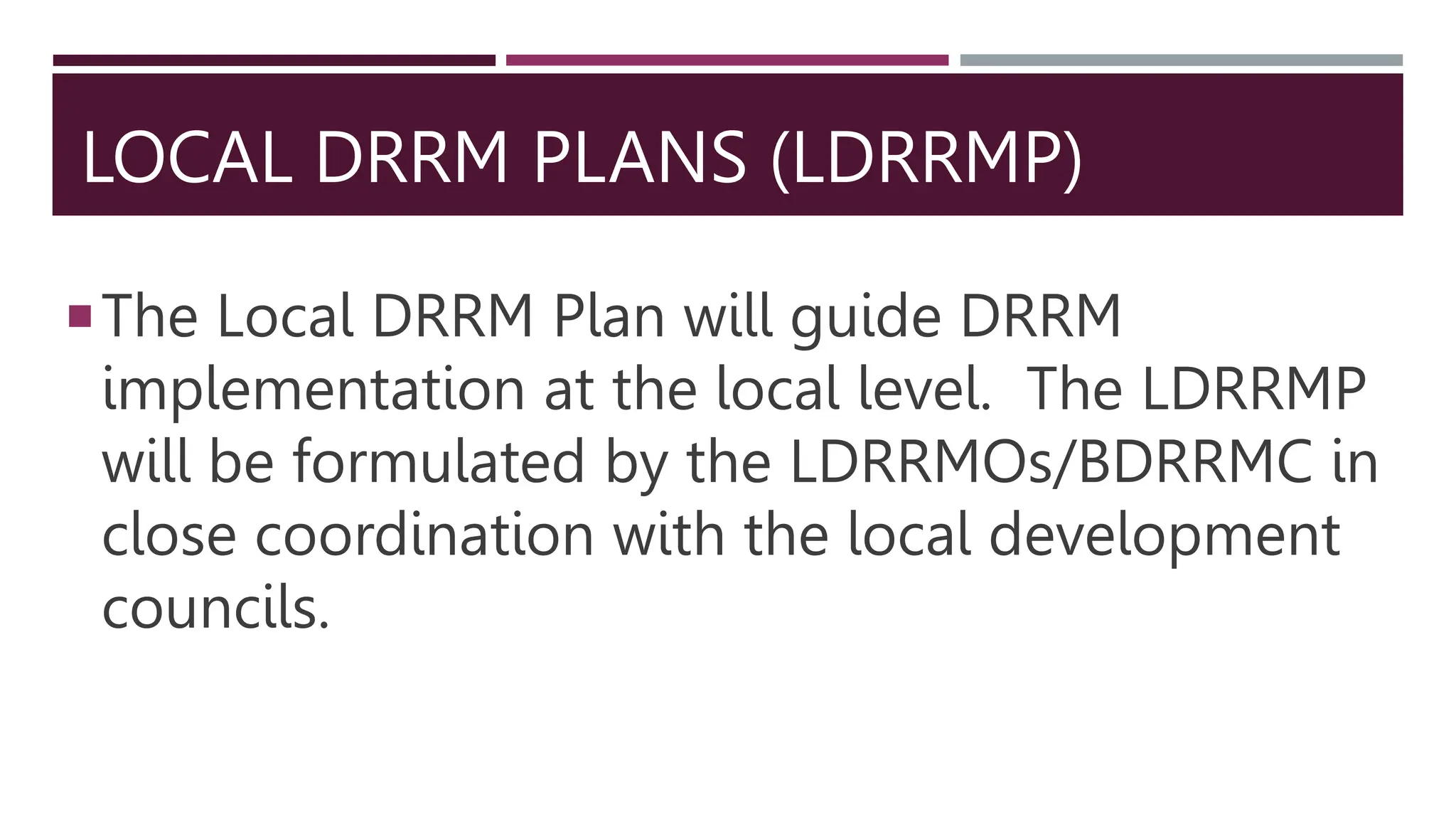 Disaster Risk Reduction and Management (DRRM).pptx