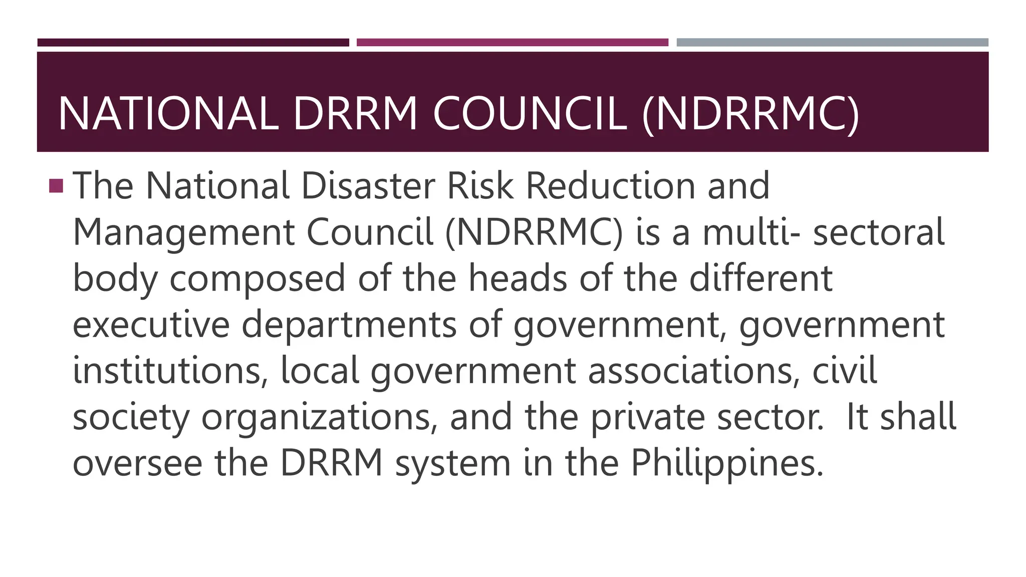 Disaster Risk Reduction and Management (DRRM).pptx