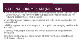 Disaster Risk Reduction and Management (DRRM).pptx
