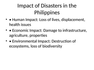 Disaster_Risk_Reduction_and_Management_Philippine_Profile.pptx