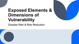Disaster Risk & Risk Reduction.pptx