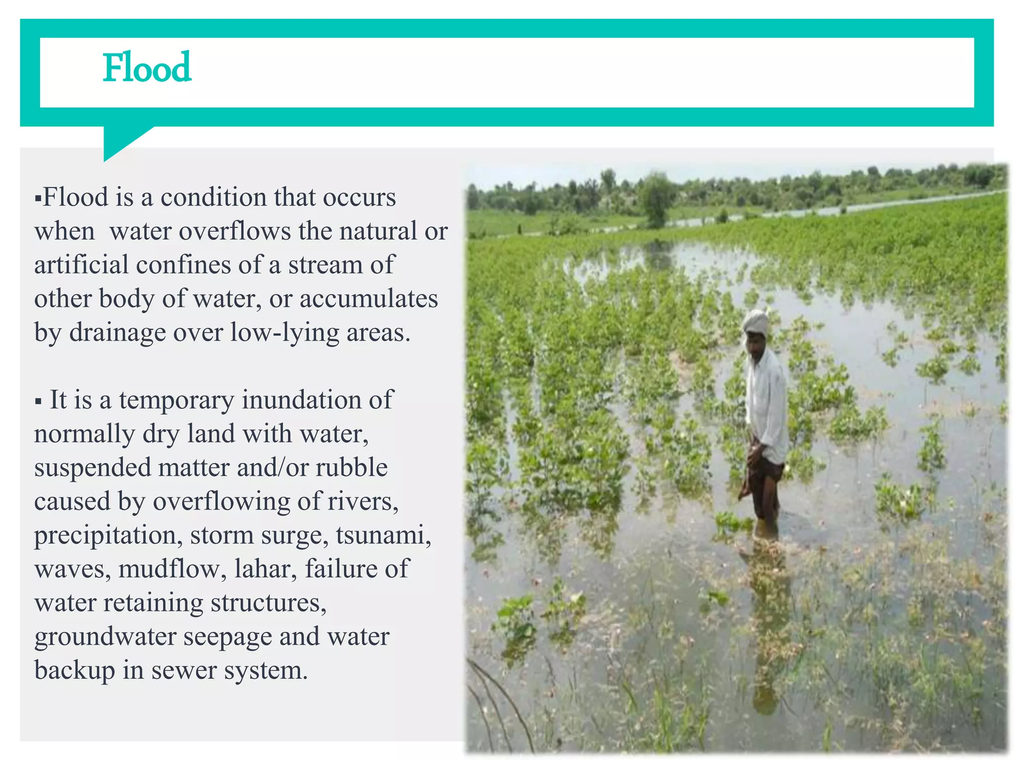 Disasters impact on agriculture | PPTX