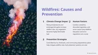 Disasters-Lessons-Learned-and-Preparation.pptx