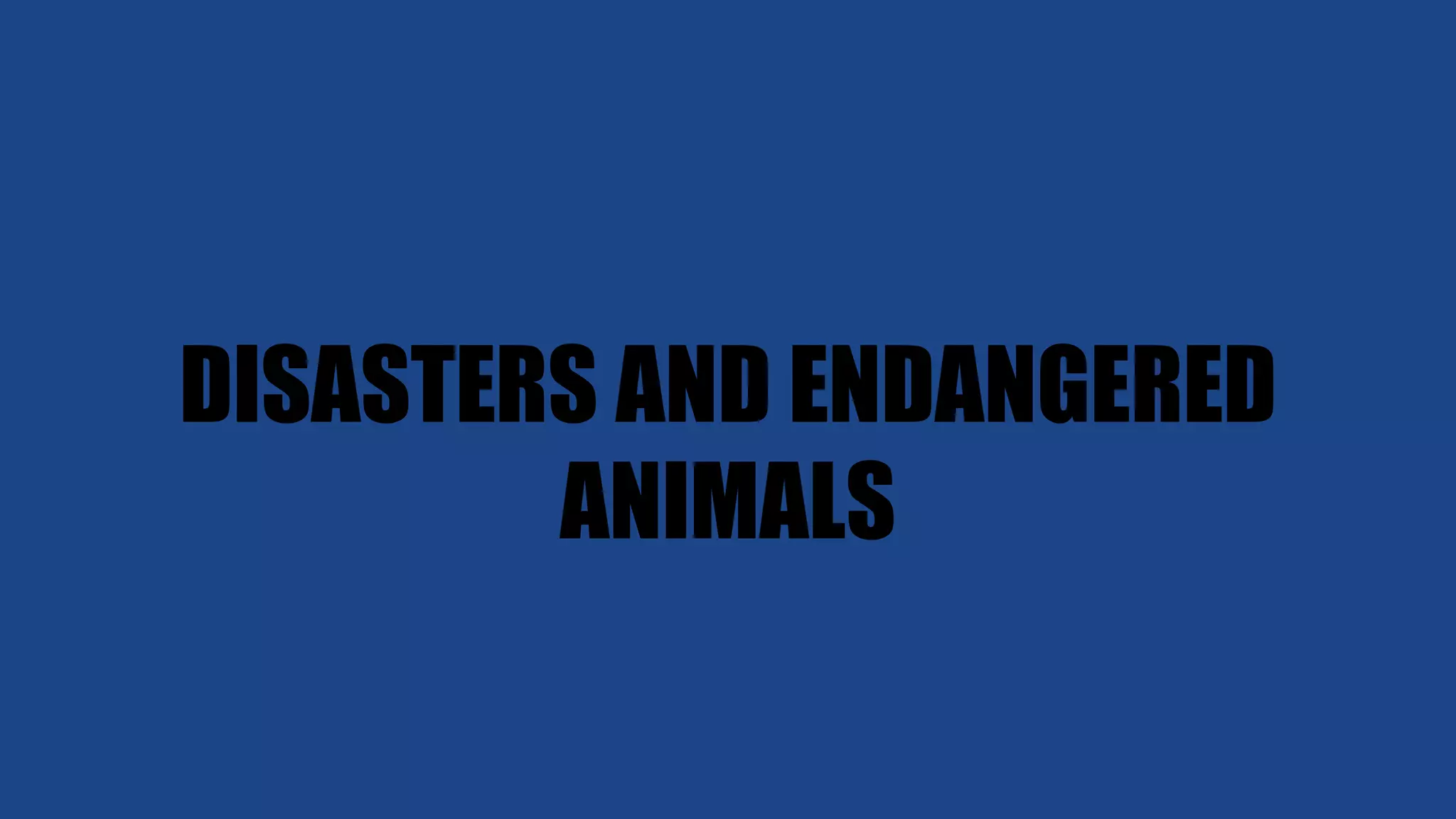 Disasters and endangered animals kiara | PPT