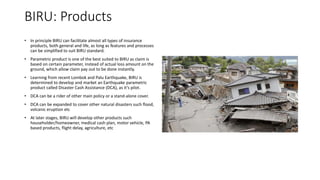 BIRU insurtech with blockchain and parametric | PPTX