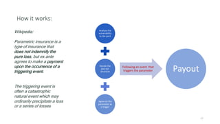 BIRU insurtech with blockchain and parametric | PPTX