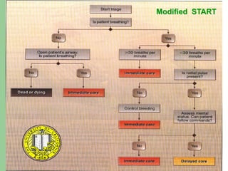 Disaster triage - S.T.A.R.T. and S.A.V.E. | PPT