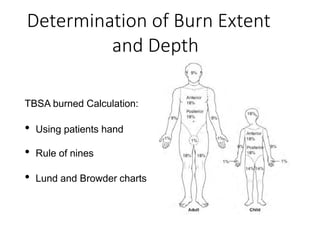 Disaster Triage Thermal Injuries Management.ppt
