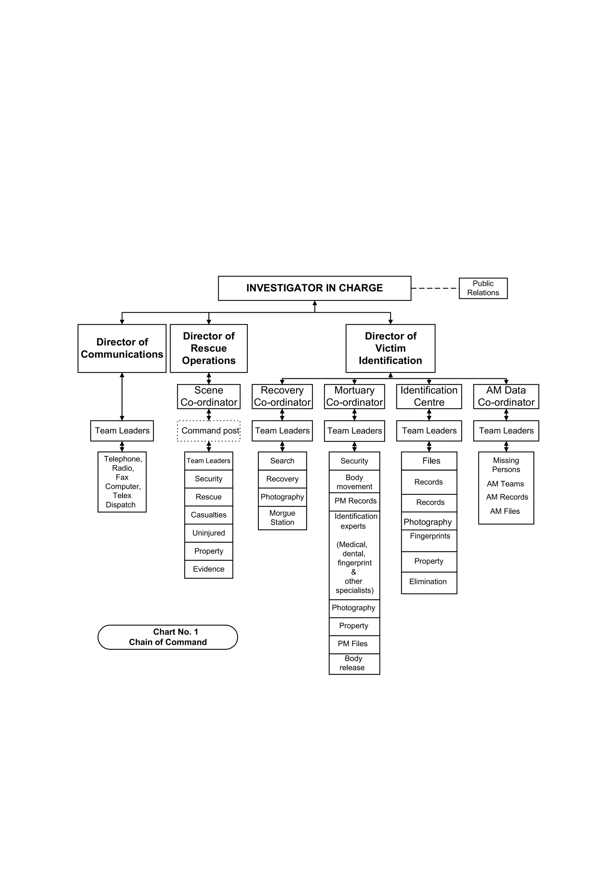 Disaster Victim Identification | PDF