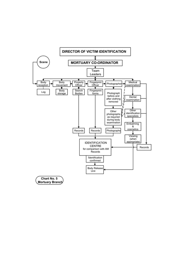 Disaster Victim Identification | PDF | Crime & Harmful Acts to ...