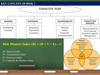 Disaster vulnerability, risk and capacity | PPTX