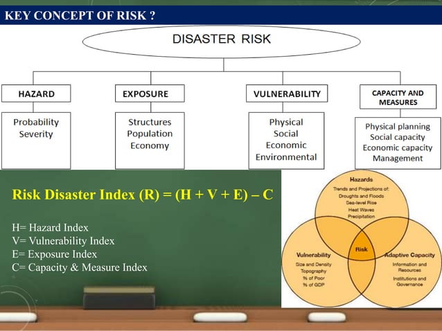 Disaster vulnerability, risk and capacity | PPTX