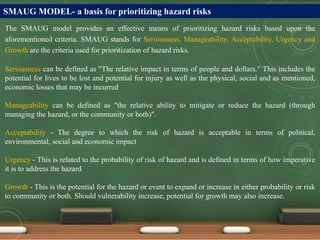 Disaster vulnerability, risk and capacity | PPTX